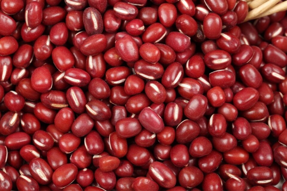 16 Types of Beans to Cook With: A Comprehensive Guide - Liana's Kitchen