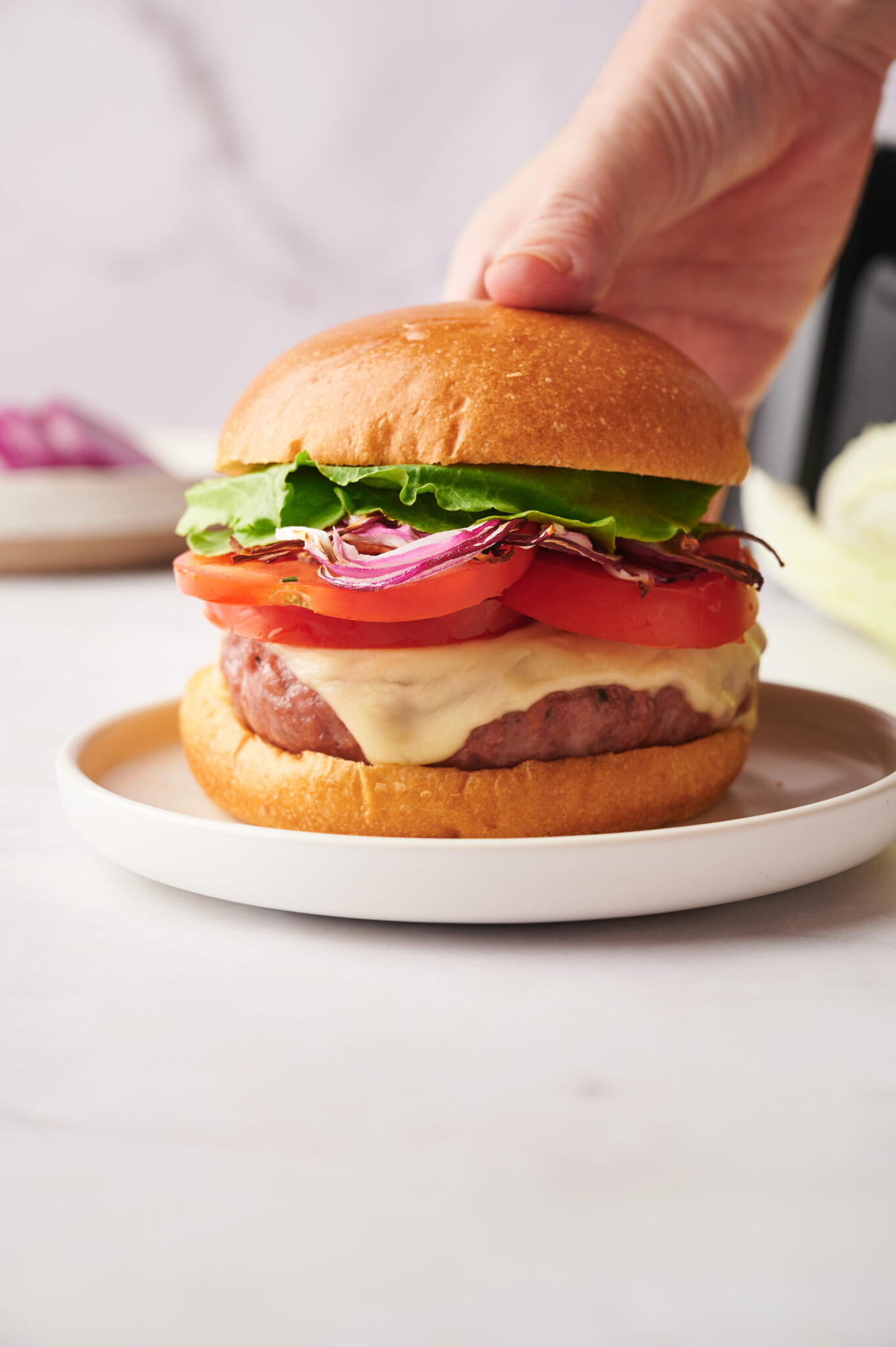 Quick & Juicy: How to Make the Best Air Fryer Burgers - Liana's Kitchen