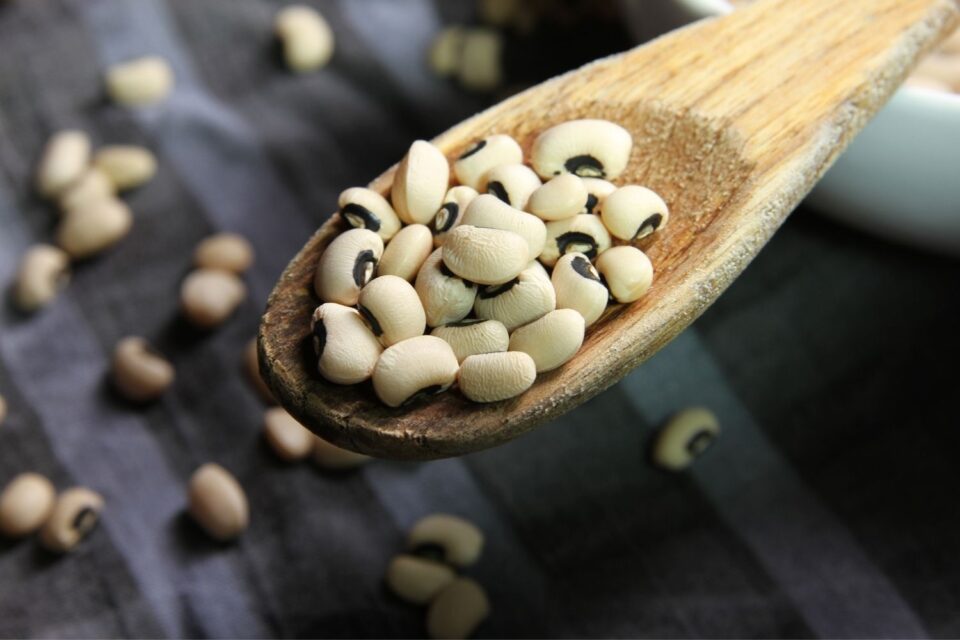 16 Types of Beans to Cook With: A Comprehensive Guide - Liana's Kitchen