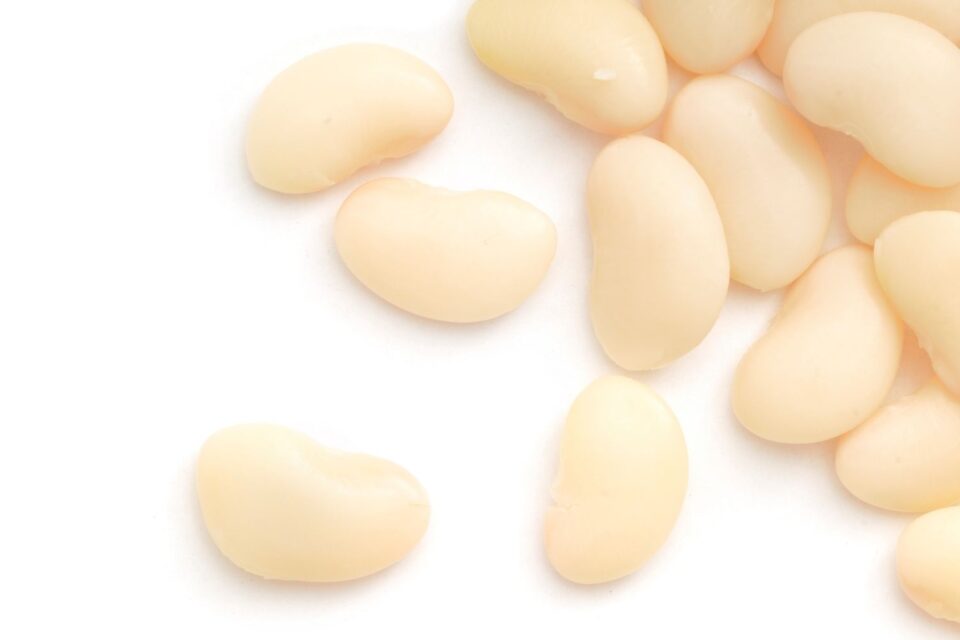 16 Types of Beans to Cook With: A Comprehensive Guide - Liana's Kitchen
