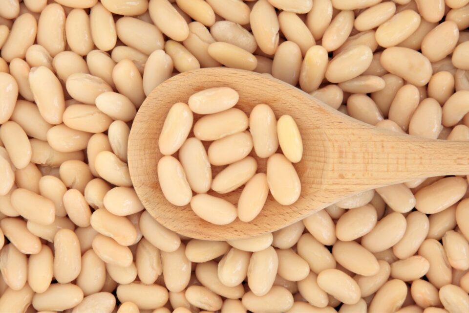 16 Types of Beans to Cook With: A Comprehensive Guide - Liana's Kitchen