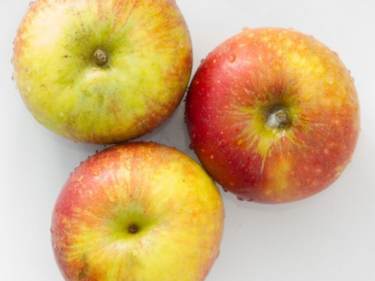 Types of Apples - The Most Popular Varieties - Liana's Kitchen