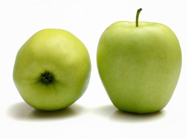Types of Apples - The Most Popular Varieties - Liana's Kitchen