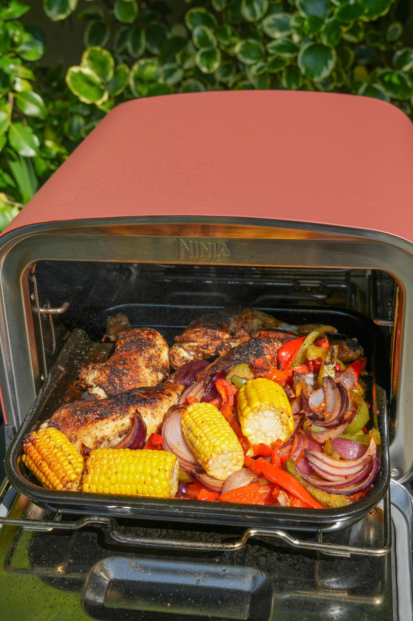 Ninja Woodfire Cooking Recipes | Pizza Oven & BBQ Grill Meals - Liana's ...