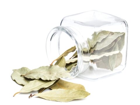 How To Dry Bay Leaves - Liana's Kitchen