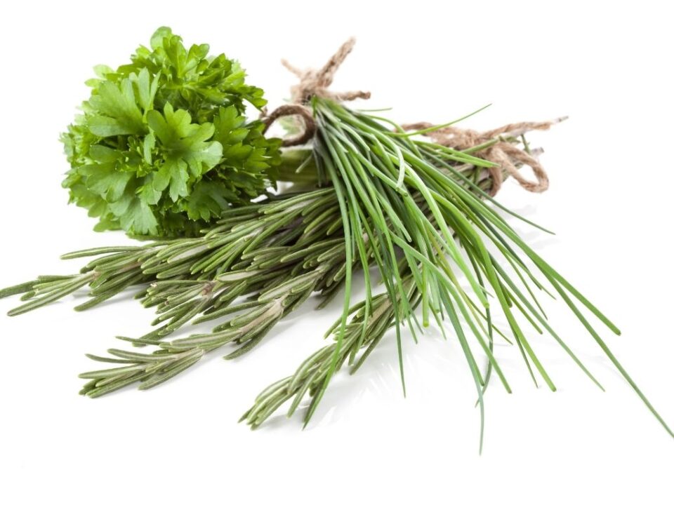 List of Herbs - Liana's Kitchen